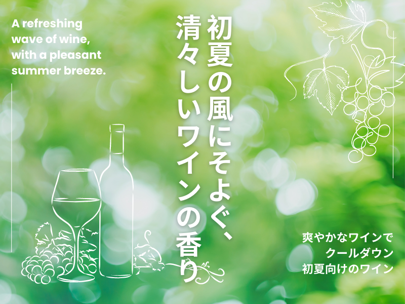 OINOS | Beautiful Wine & Deli | イノス